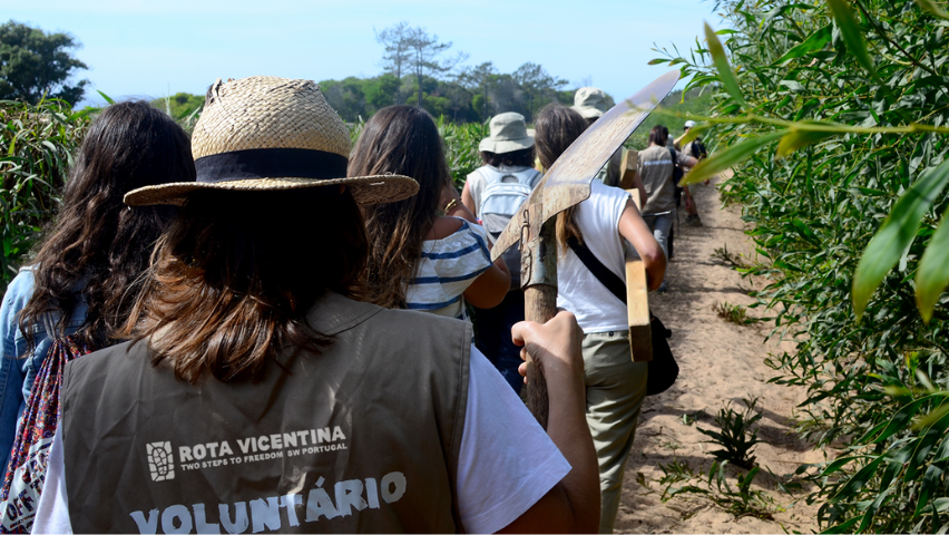 Long-Term Volunteering with Rota Vicentina: Applications Now Open